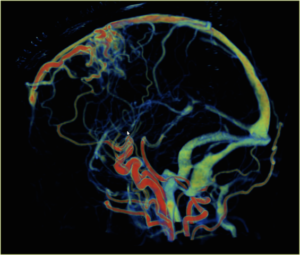 Medical Image Visualization – AP Lab