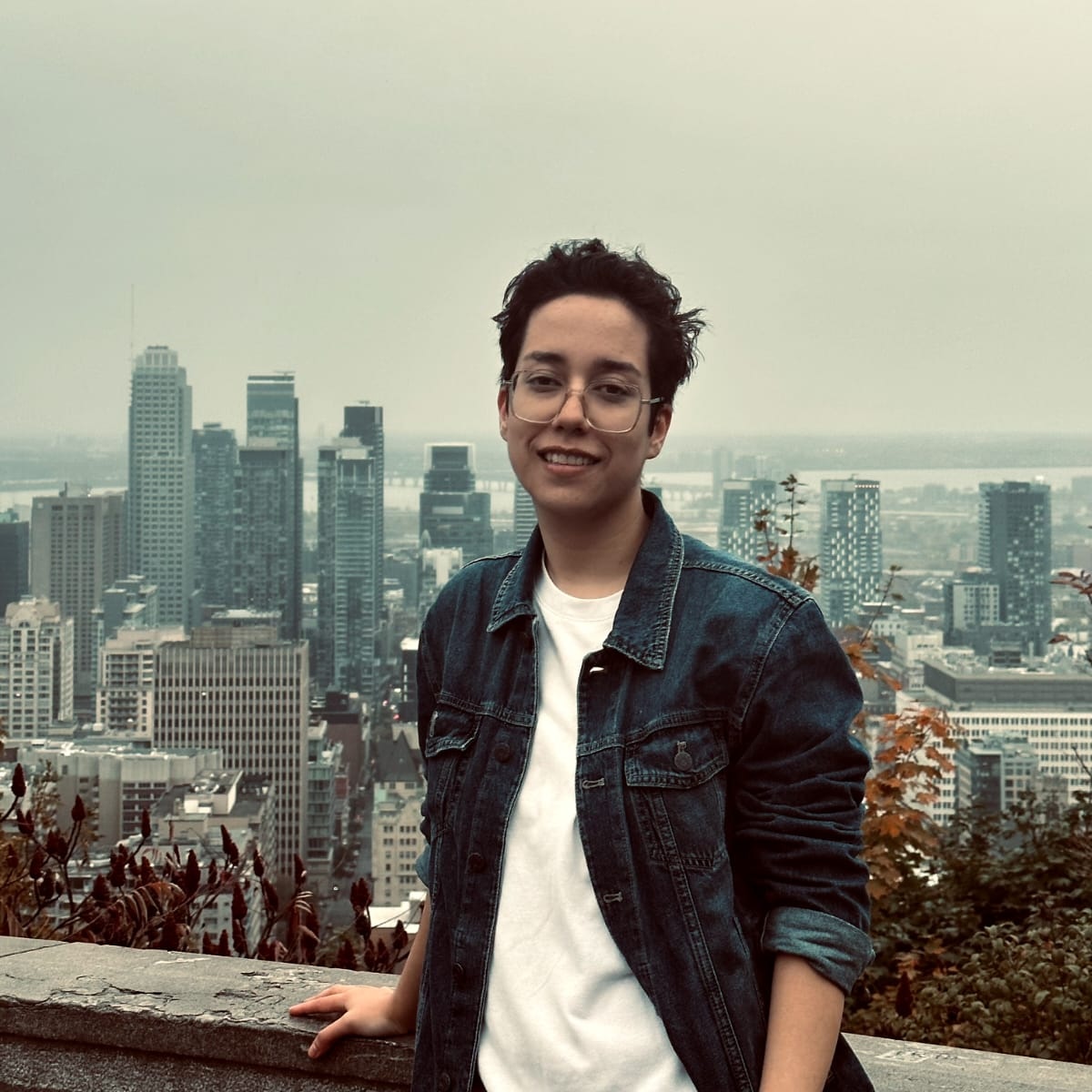 Niki Najafi – AP Lab